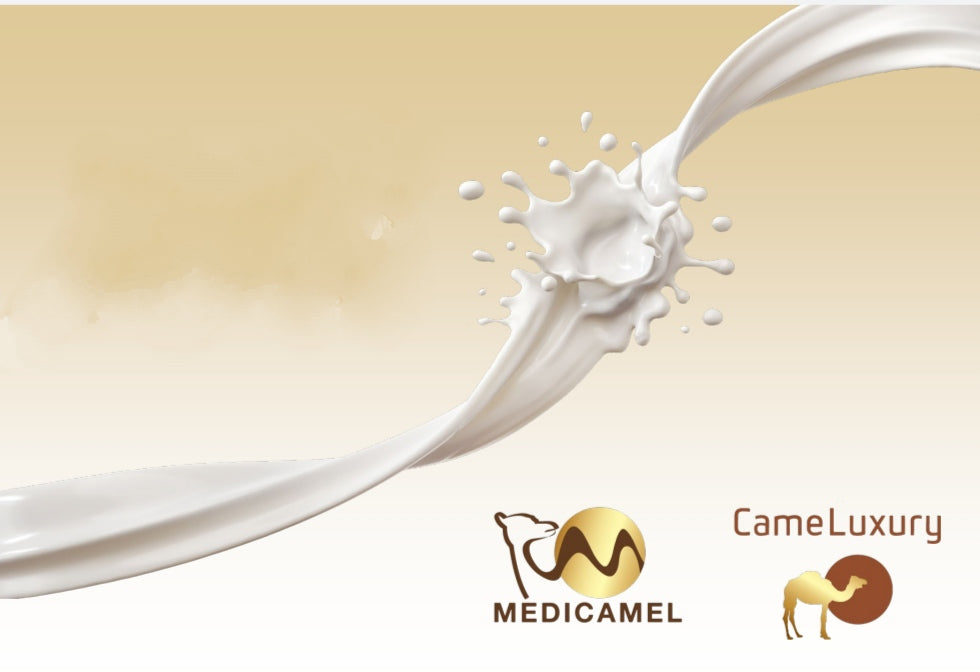 CAMEL'S CLEOPATRA – GREEN FORCE